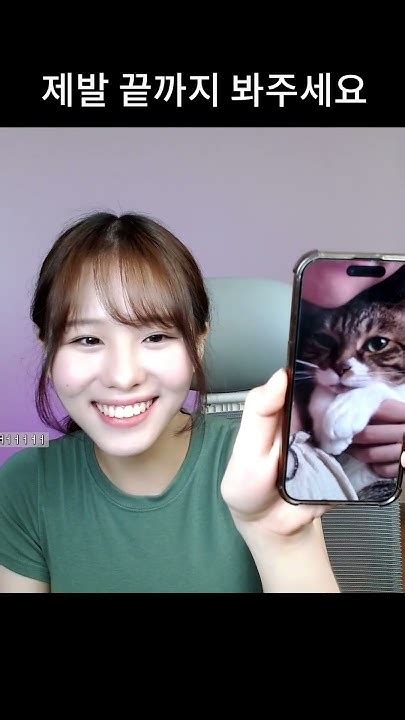 귀여운 고양이 보고가세요ㅠㅠ Youtube