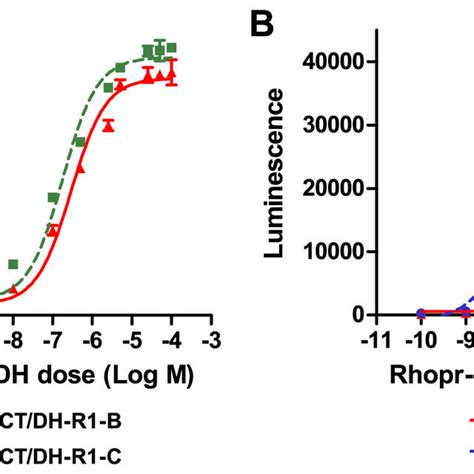 multiple sequence alignment of select insect ct dh receptors identical