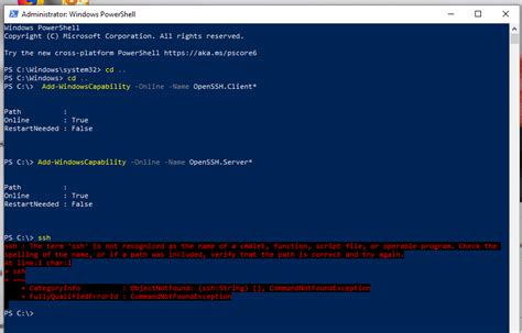 Powershell Windows 10 Install Ssh Failed Super User