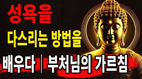 부처님의 가르침｜성욕을 다스리는 방법｜불교의 가르침 Youtube