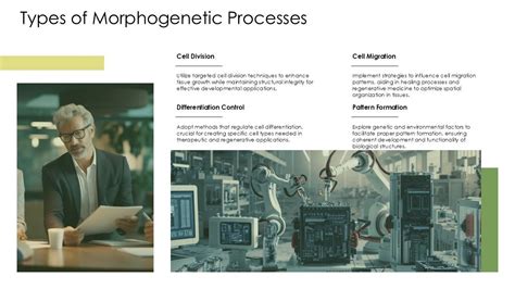 Understanding Morphogenetic Processes Growth Development And Patterns Ppt Sample St Ai Ppt Sample