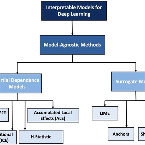 Most Relevant Model Agnostic Methods Proposed In The Literature