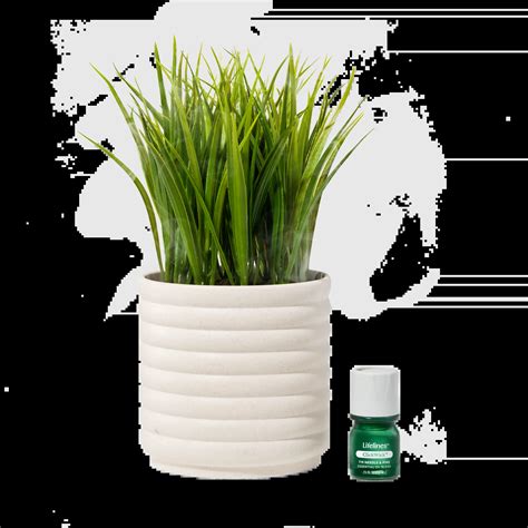 Clickwick® Diffusers Lifelines