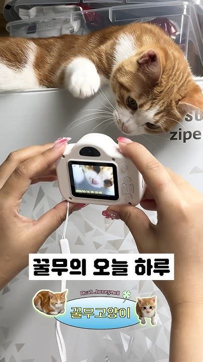 꿀무 안녕 난 꾸무야 오늘은 내가 비눗방울을 만드는 법을 아르켜줄게🫧 Youtube