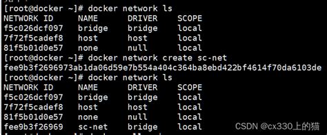 [docker]容器的网络类型以及云计算