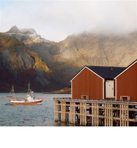 Ryzon Performance Sports Apparel