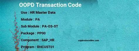 OOPD SAP Tcode For HR Master Data