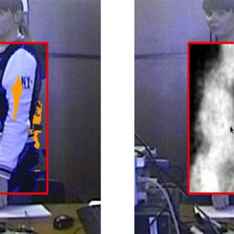 An Example Of The Visualization Of Terahertz Data In The Industrial Download Scientific Diagram