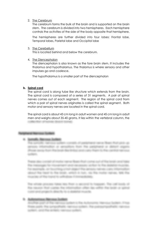Solution Nervous System Outline Studypool