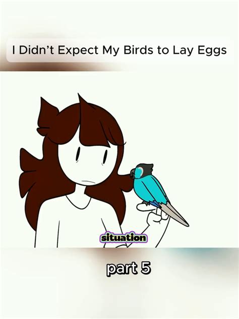 Exploring The Pokémon Community With Jaiden Animations Tiktok