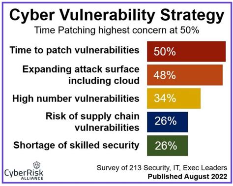 Donna R On Linkedin Cybersecurity Patchmanagement Infographic Vulnerabilitymgmt