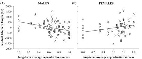 Residual Telomere Length Age Corrected In Relation To Average Download Scientific Diagram
