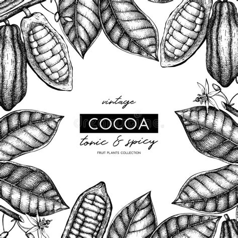 Cocoa Tree Stock Illustrations 12 636 Cocoa Tree Stock Illustrations