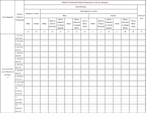 Eeo Report Template Atlantaauctionco For Eeo Report Template Xfanzexpo Com