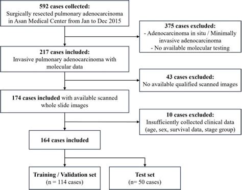 A New Model Using Deep Learning To Predict Recurrence After Surgical