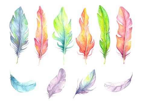 Watercolor Feather Pngs For Free Download