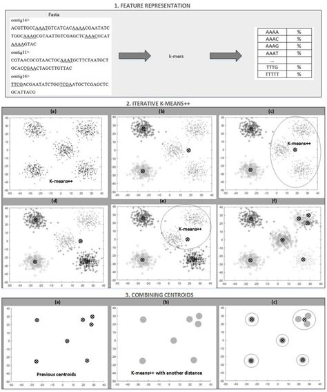 steps of proposed clustering method download scientific diagram