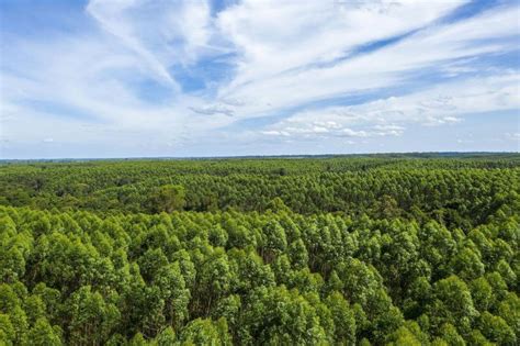 Stevanus Sim Posted On Linkedin