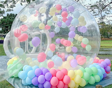 Bubble House Hoppers And Bugs