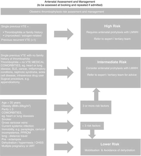 Dvt And Pregnancy Obgyn Key