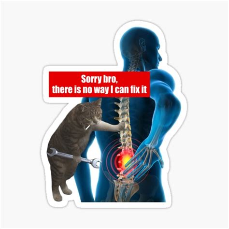 grey cat smoking funny meme sorry bro no way i can fix it chiropractor