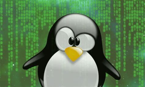 A Now Patched Linux Kernel Vulnerability Could Lead To Data Leaks