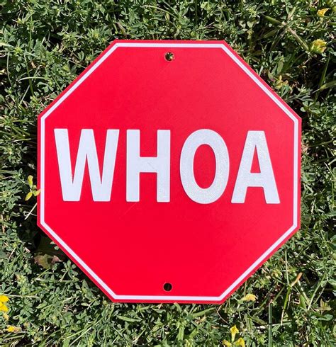 Whoa Stop Traffic Road Wall Décor Novelty Street Notice Sign In Vibrant