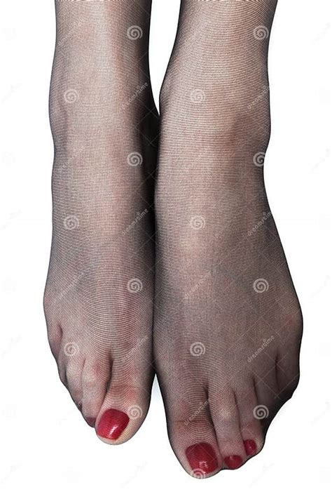 Women`s Feet In Stockings Stock Image Image Of Hosiery 84022913