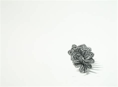 fibonacci ii co so copley society of art