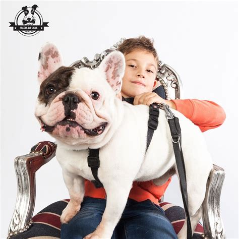 Francesco E Iano In Posa Per Faccia Da Cane Faccia Da Cane