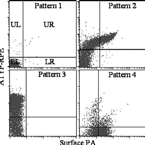 Prototypical Flow Cytometry Dot Plot Patterns For Identification And