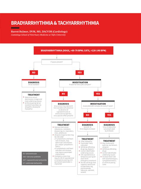 Clinicians Brief Algorithms To Guide Your Diagnosis And Treatment 1 Pdf