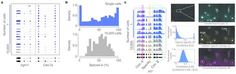 Variation In Isoform Usage Between Single Cells A Rna Seq Read Download Scientific Diagram