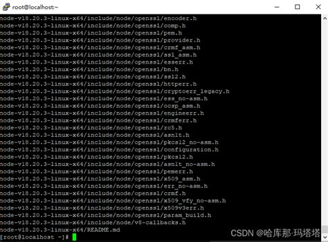 linux环境安装配置nodejs详细教程 linux安装nodejs csdn博客