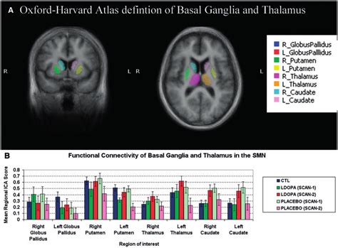 Region Of Interest Based Analysis Of The Sensorimotor Network Download Scientific Diagram