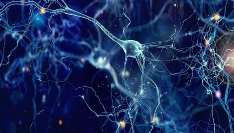 Ábaco A Las Redes Neuronales Inteligencia Artificial En Salud