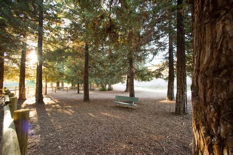 Cancelled Jr Ranger Adventure Carbon Canyon Regional Park Lets Go