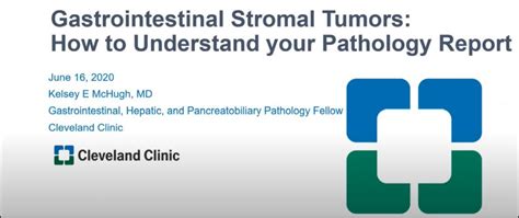 Pathology Gist Sarcoma Life Raft Group Canada