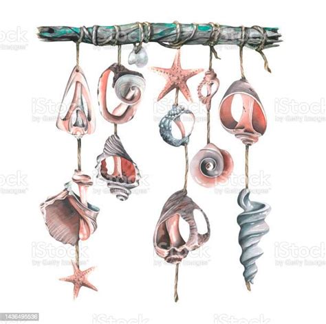 부러진 조개와 바다 별이있는 나무 걸림돌이 매달려 있습니다 수채화 그림 고래 컬렉션의 장식 요소 엽서 포스터 기념품의 디자인과 장식을 위해 가지 식물 부위에 대한 스톡 벡터