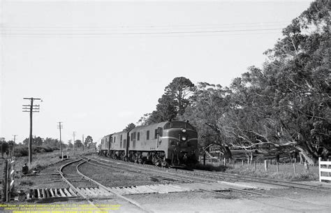 New Zealand Railways Class Dg790 774 776 English Electri Flickr