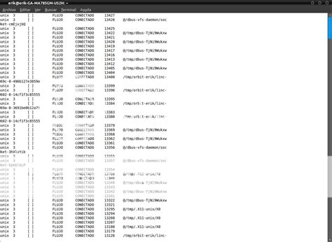 Problema Con Comando Netstat