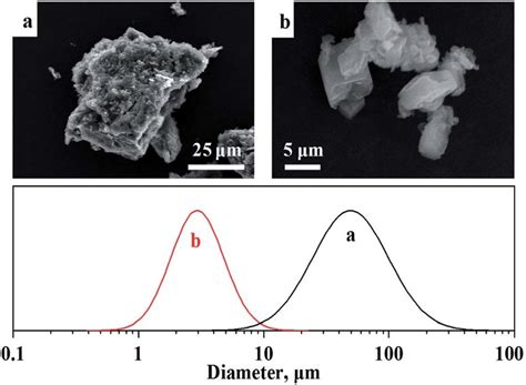 Particle Morphologies And Sizes Of The Solid Precipitates A Poaa