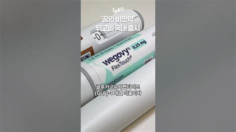 ‘꿈의 비만약 위고비 국내 출시 위고비 노보노디스크 비만치료제 Youtube