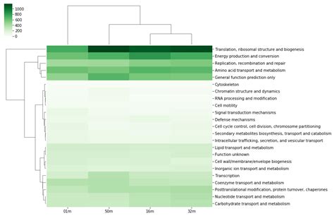 Tutorial Exploring The Data — Mgkit Metagenomic Framework 0 5 0 Documentation