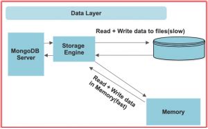 How MongoDB Works - Dot Net Tutorials