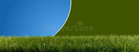 Green Blades Of Grass 3d Illustration Abstract Rounded Background Stock