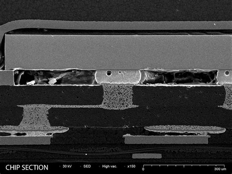 Application Examples For Tabletop SEM Scanning Electron Microscopy