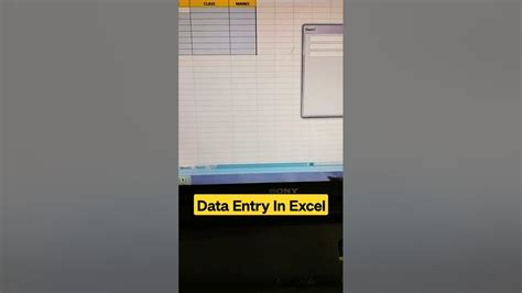 Data Entry In Excel Shortvideo Excel Shorts Trending Dataentry Viral Exceltutorial