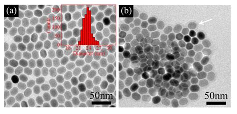 Properties And Applications Of Upconversion Nanoparticles Cd Bioparticles