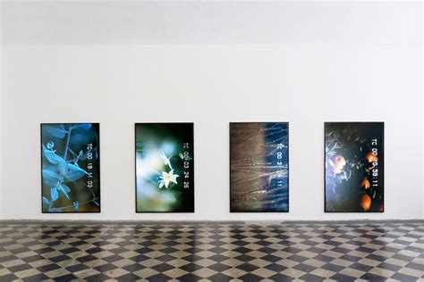 Colin Snapp Contemporary Art